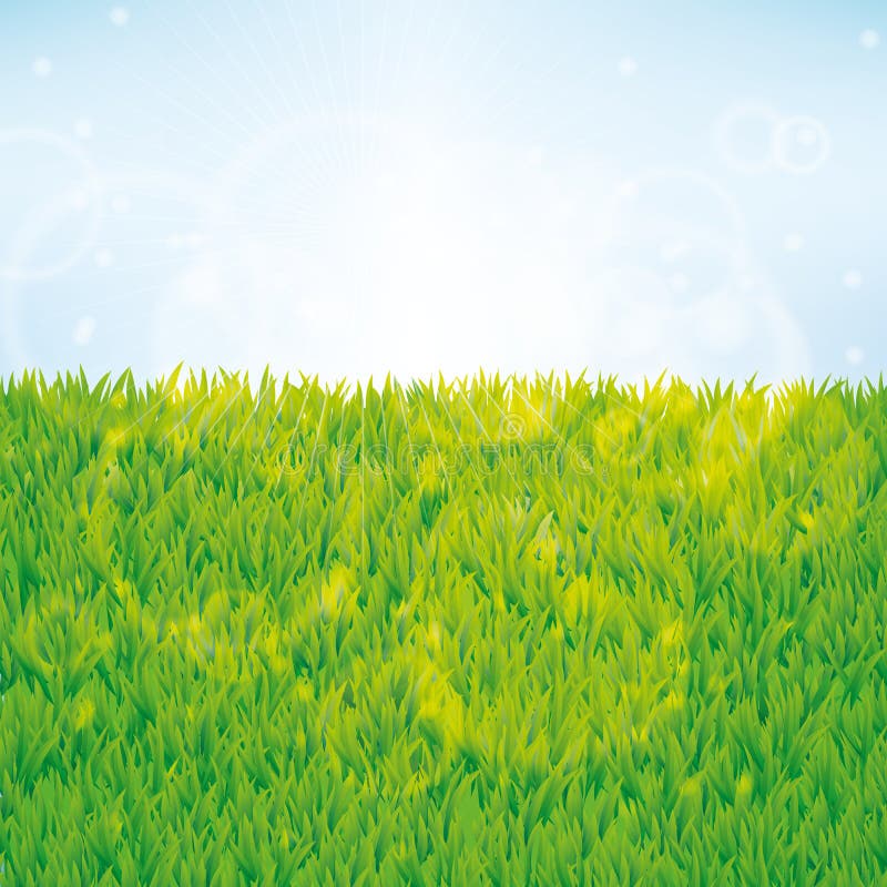Green Grass Hello Summer Background Stock Vector - Illustration of ...