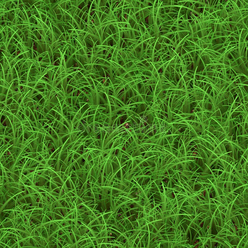 Green Grass Seamless Pattern Stock Illustration - Illustration of field ...