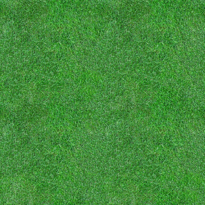170+ Seamless grass texture Free Stock Photos - StockFreeImages