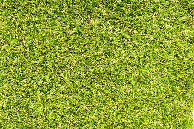 Green Grass Seamless Texture Stock Photo - Image of field, lawn: 49882248