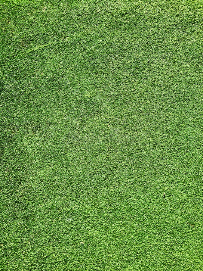 Seamless Golf Grass Texture