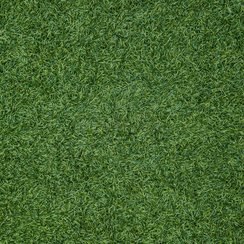 Green Grass Seamless Texture. Seamless in only Horizontal Dimens Stock ...