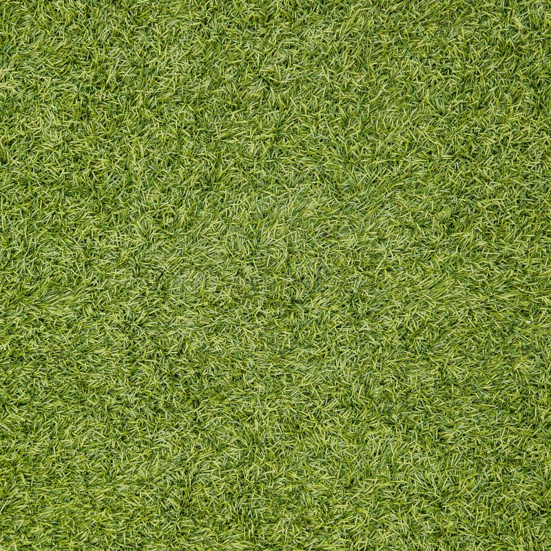Green Grass Seamless Texture. Seamless in only Horizontal Dimens Stock ...