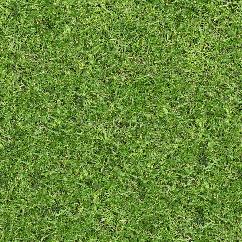 Green Grass Seamless Texture. Seamless in Horizontal and Vertical ...