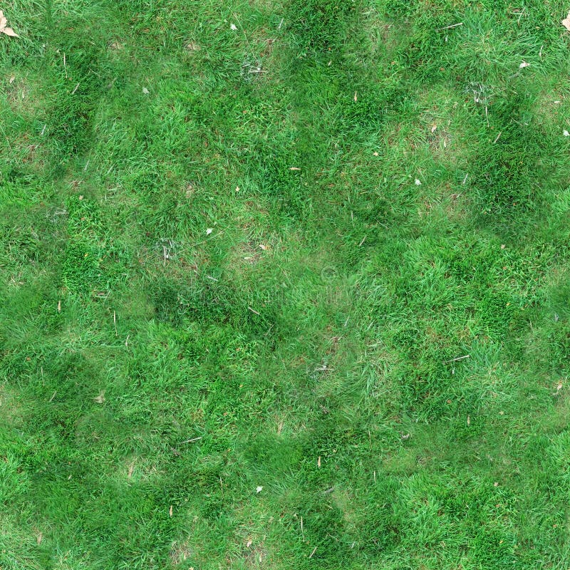 Green Grass Seamless Tile Texture Stock Photo - Image: 57503316
