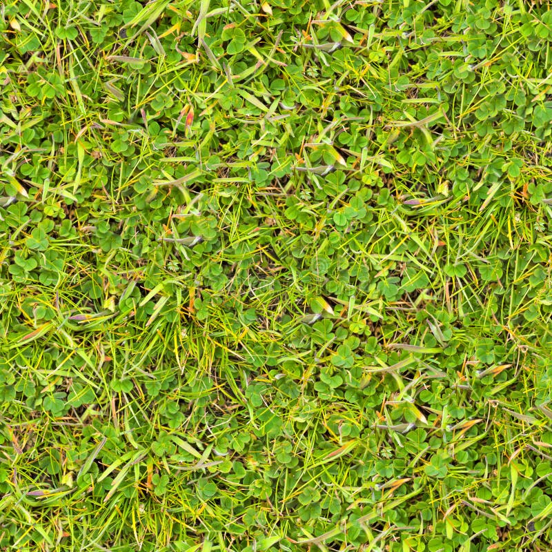 Green Grass. Seamless Texture. Stock Image - Image of golf, abstract ...