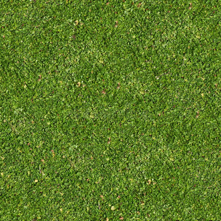 384 Green Grass Texture Seamless Tileable Stock Photos - Free & Royalty ...