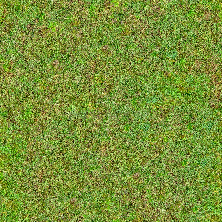 1,164 Tileable Texture Flowers Stock Photos - Free & Royalty-Free Stock ...