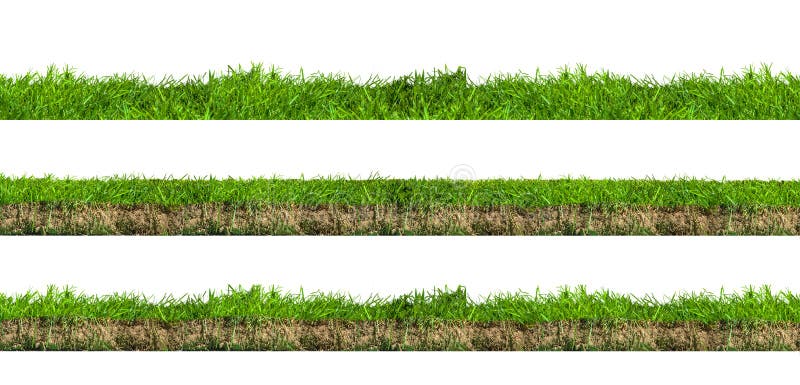 Green Grass Sections stock image. Image of field, green - 26135747