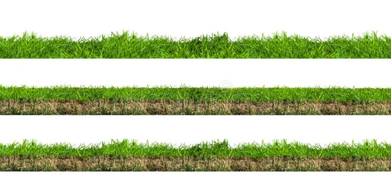 Green Grass Sections stock image. Image of field, green - 26135747