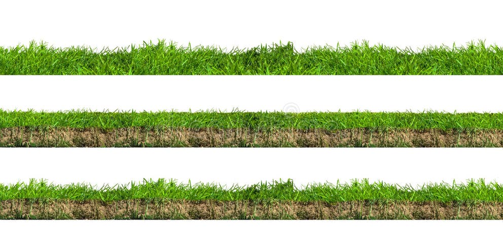Green Grass Sections stock image. Image of field, green - 26135747