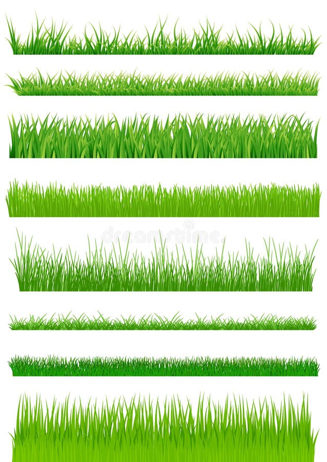 Green Grass Texture Rectangle Isolated on White Stock Vector ...
