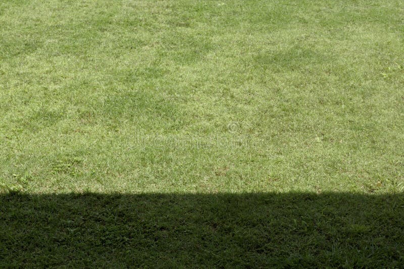 Green Grass Shade and Shadow Closeup Stock Image - Image of exterior ...