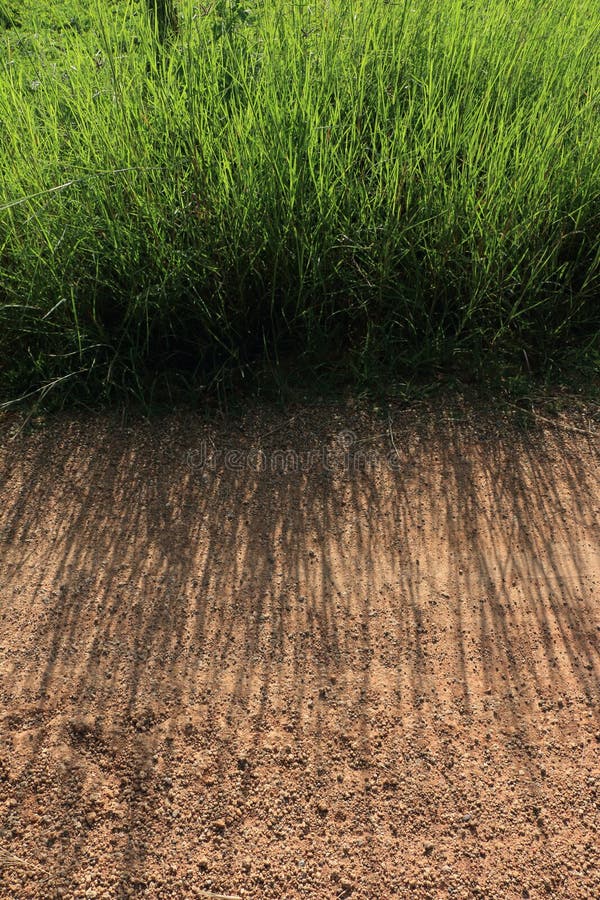 Green Grass and Shadow, Abstract Background Stock Image - Image of ...