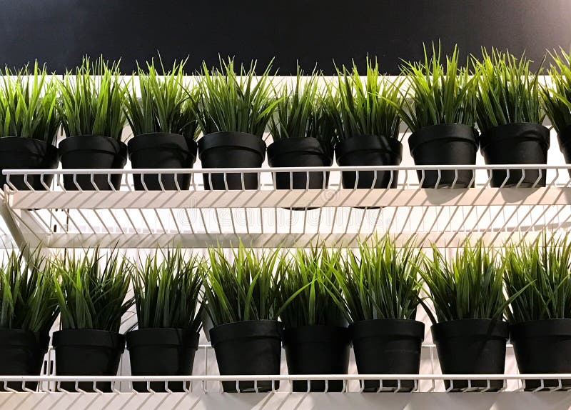 Green grass on shelf stock image. Image of pattern, outdoor - 97173165