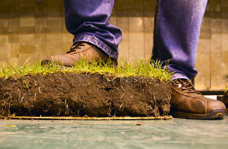 Green grass with shoes stock photo. Image of laces, broken - 24325558