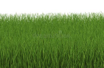 7,328 Side Grass Texture Stock Photos - Free & Royalty-Free Stock ...