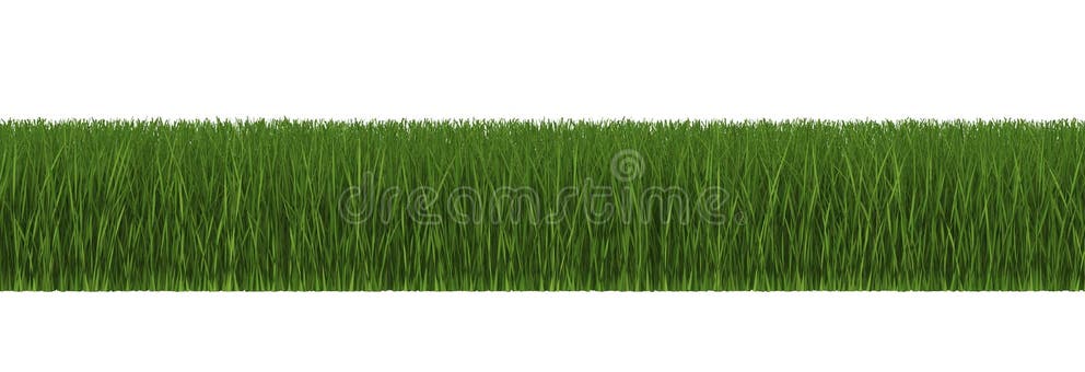 8,869 Side Grass Texture Stock Photos - Free & Royalty-Free Stock ...