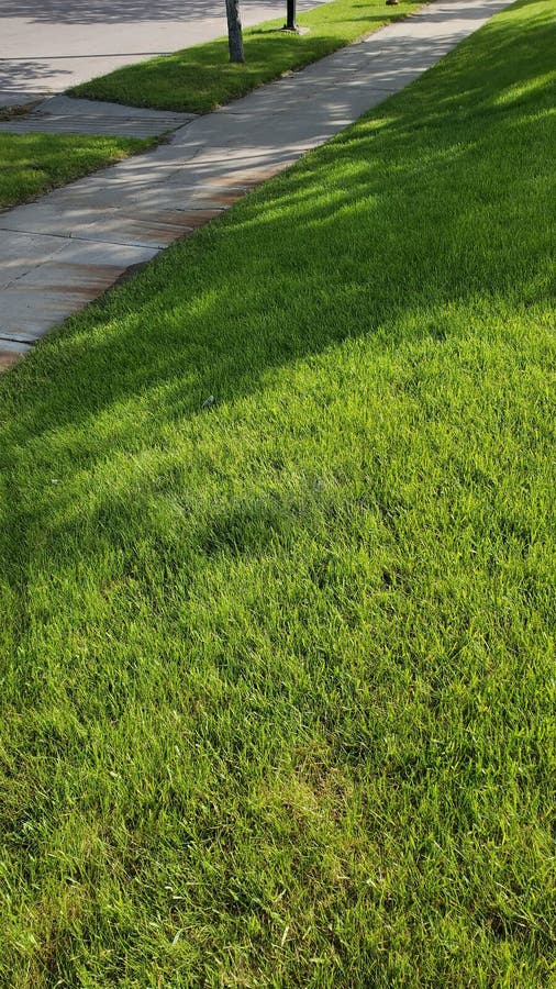Grass, Sidewalk and Pavers stock image. Image of concrete - 43871315