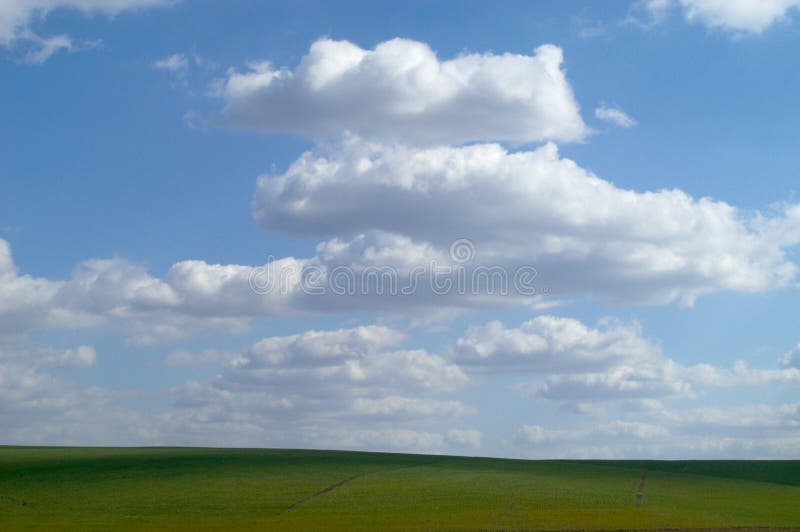 Green grass and sky stock image. Image of golf, nature - 2247589