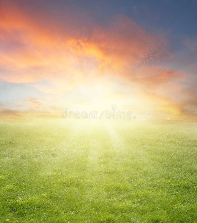 Green grass and sky stock image. Image of meadow, magical - 126355411