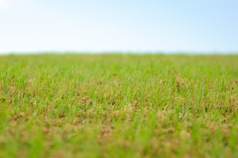 Green Grass Smooth Sky Background Stock Photo - Image of blur, trails ...