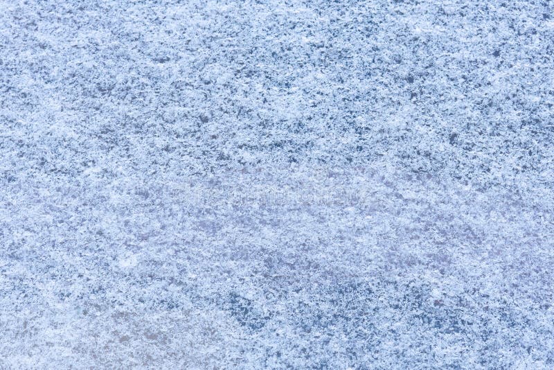 Ice blue grass in the snow stock image. Image of frosty - 177714359