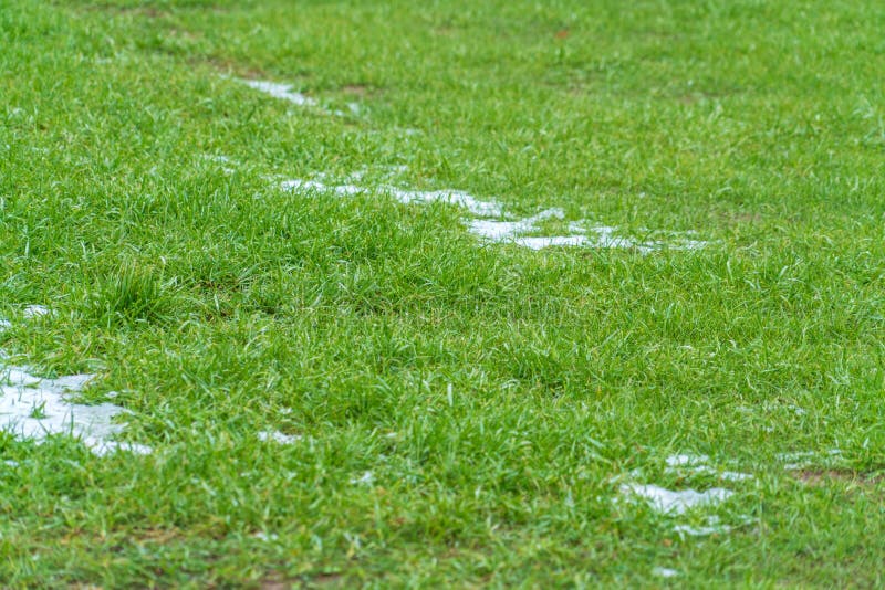 Green Grass with Snow Patches Stock Image - Image of lawn, garden: 63252859