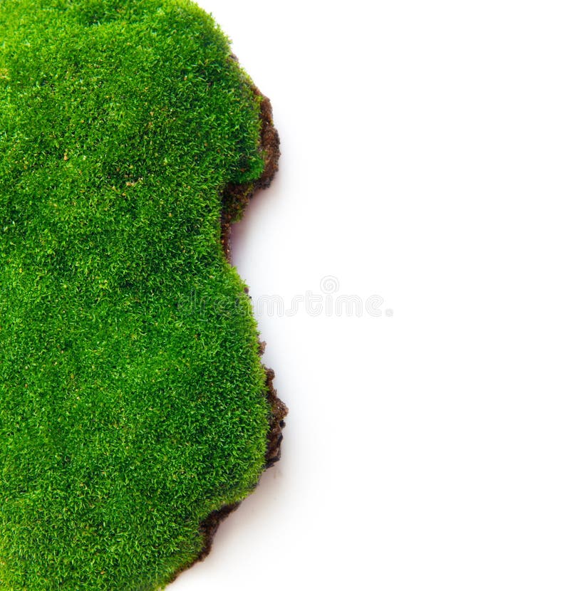 Green grass and soil stock photo. Image of soil, summer - 35221212