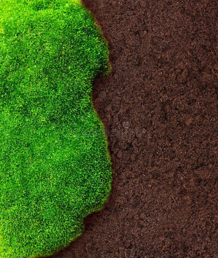 Green grass and soil stock photo. Image of soil, summer - 35221212