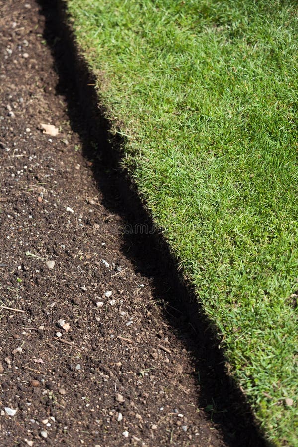 Green grass and soil stock image. Image of plant, dirt - 164757165