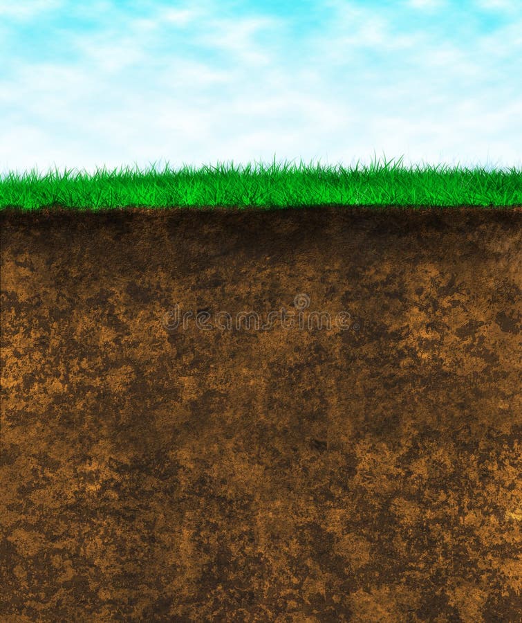 Green Grass Soil - Texture Surface Royalty Free Stock Photography ... Green Grass Soil - Texture Surface Royalty Free Stock Photography ...
