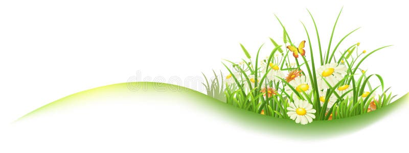 Green grass spring banner stock vector. Illustration of chamomile ...