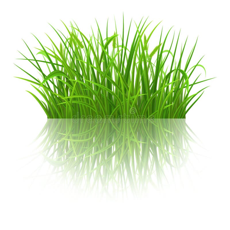 Spring green grass stock vector. Illustration of springtime - 90500677