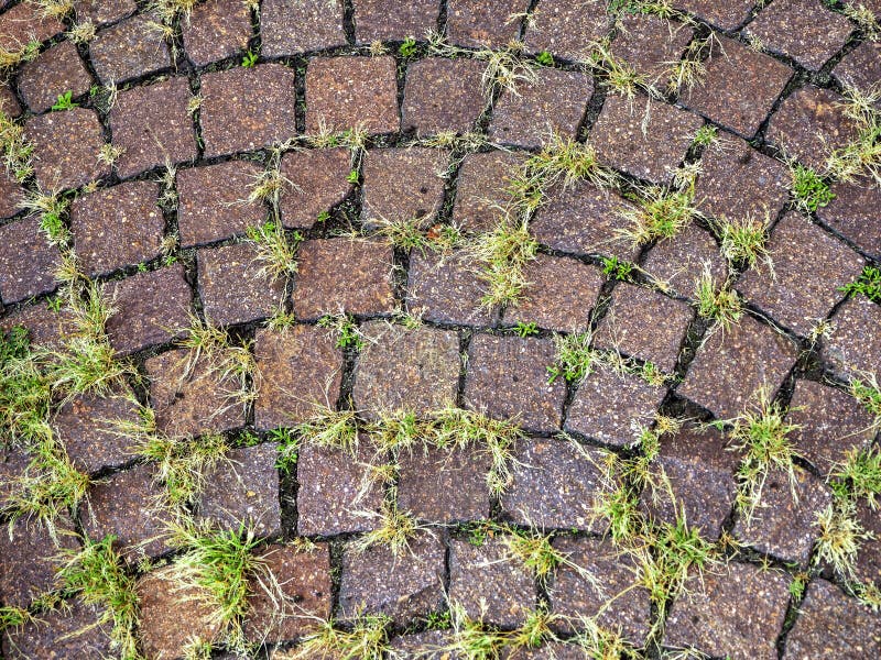 1,537 Medieval Grass Texture Photos - Free & Royalty-Free Stock Photos ...