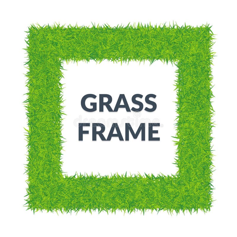 Grass Square 3D. Beautiful Green Grassy Field, Isolated on White ...