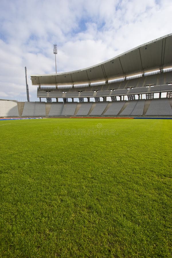 Green Grass and the Stadium Stock Photo - Image of open, grass: 3693438