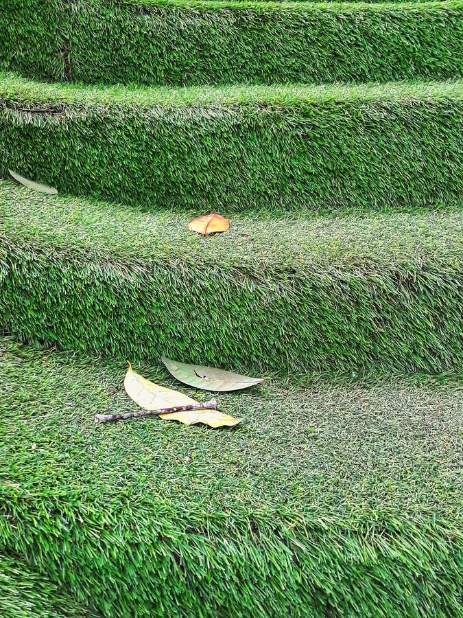 Green Grass Steps stock image. Image of growth, flooring - 303667595