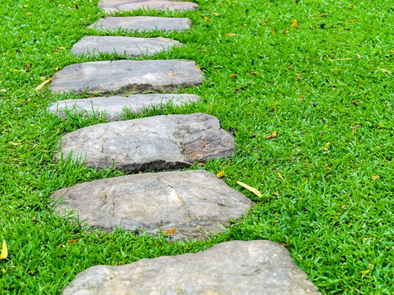 Green Grass with Stone Texture and Background Stock Photo - Image of ...