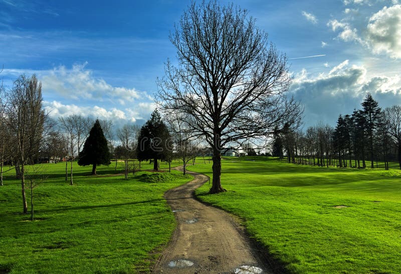 Green Grass and Sunlit Trees beside a Winding Path in Spring Season ...