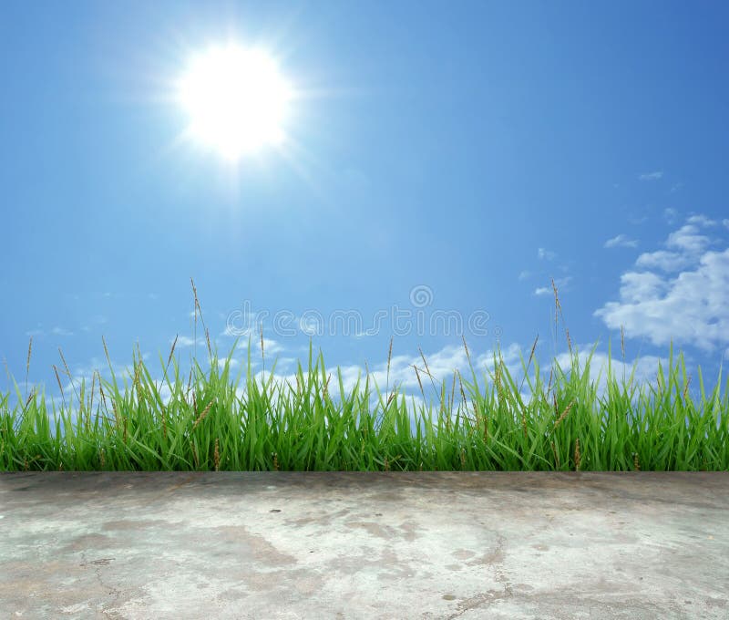 Green grass and sunshine stock photo. Image of cloud - 16535350