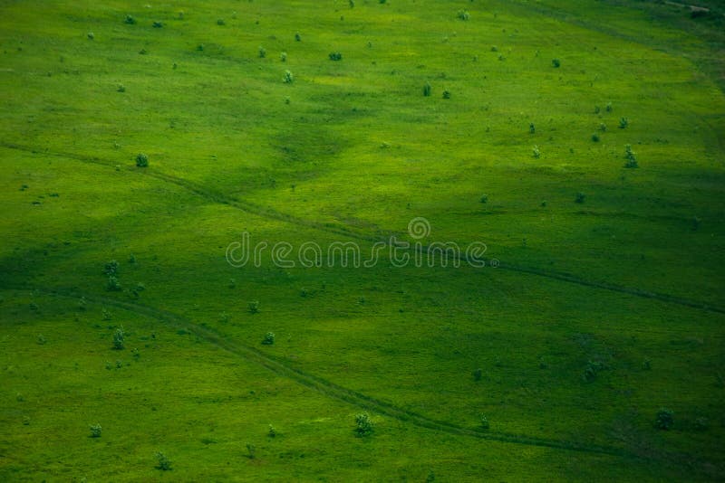 Green Grass Surface Texture Stock Photo - Image of design, golf: 259493934