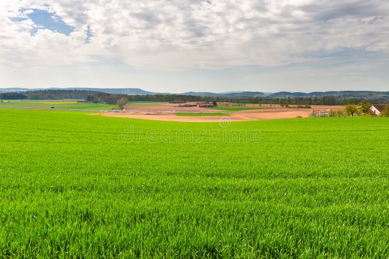 Green Grass stock image. Image of alpine, green, mountains - 32196113