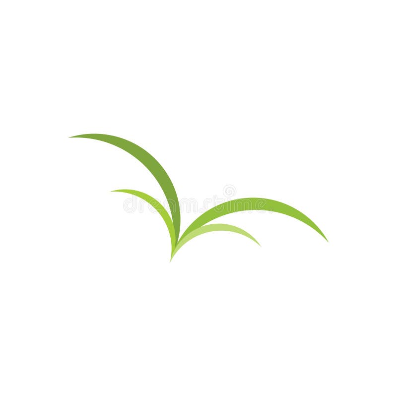 Lawn Grass Flat Line Icon. Vector Thin Sign Of Planting. Landscaping ...