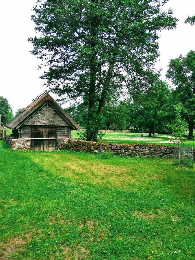 Green Grass, Tall Beautiful Tree, a Lonely Standing House Stock Photo ...