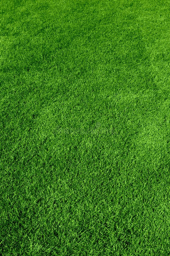Patch of grass stock image. Image of texture, nature, green - 5361899