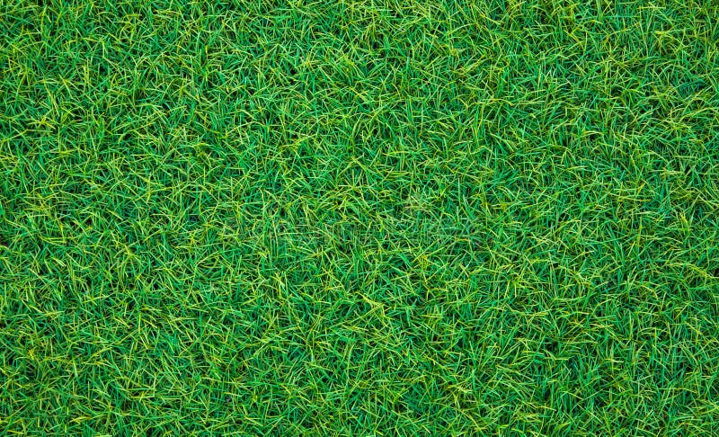 Green Grass Texture, Natural Background Stock Image - Image of field ...