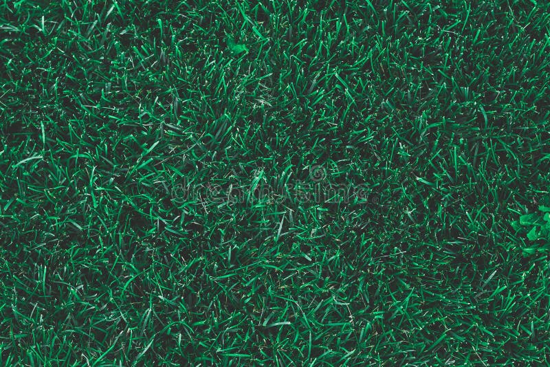 Dark Green Golf Turf Background Stock Photos - Free & Royalty-Free ...