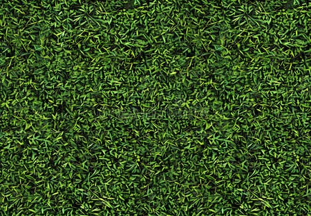 Grass Repeating Texture Stock Illustrations – 1,928 Grass Repeating ...