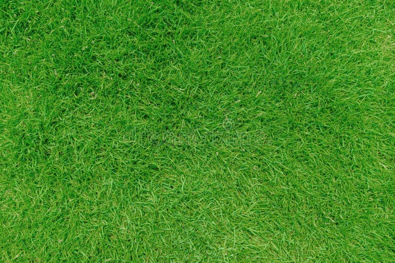 Top View Of Grass Garden Ideal Concept Used For Making Green Flooring Stock Image Image Of